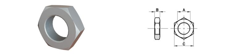 UNI 5589 nuts | DM CUS